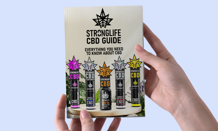 CBD Guide - Everything You Need To Know About CBD In 2024