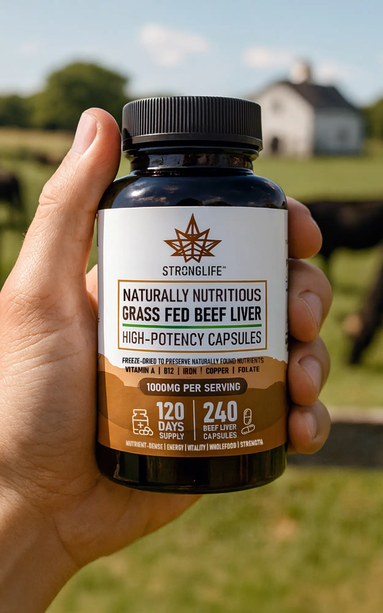 240 Grass Fed Beef Liver Capsules | High-Potency 1000mg